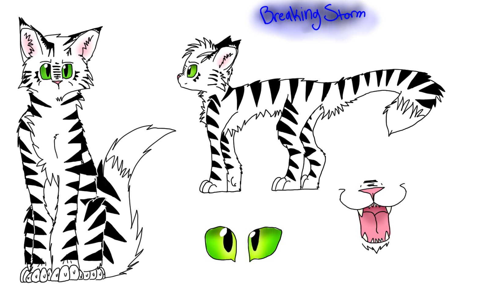 Breaking Storm (Stormbreak) refsheet by Breaking-storm01 on DeviantArt