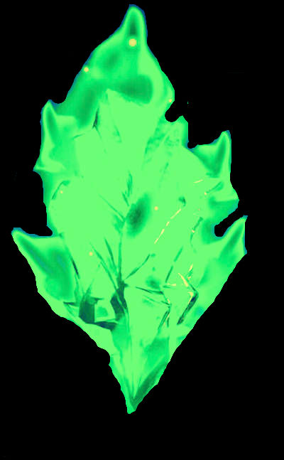 The Ancient Soul Emerald by SloanVanDoren on DeviantArt