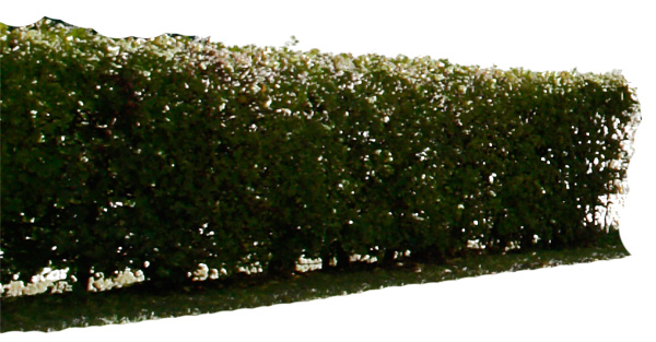hedge psd by gd08 on DeviantArt