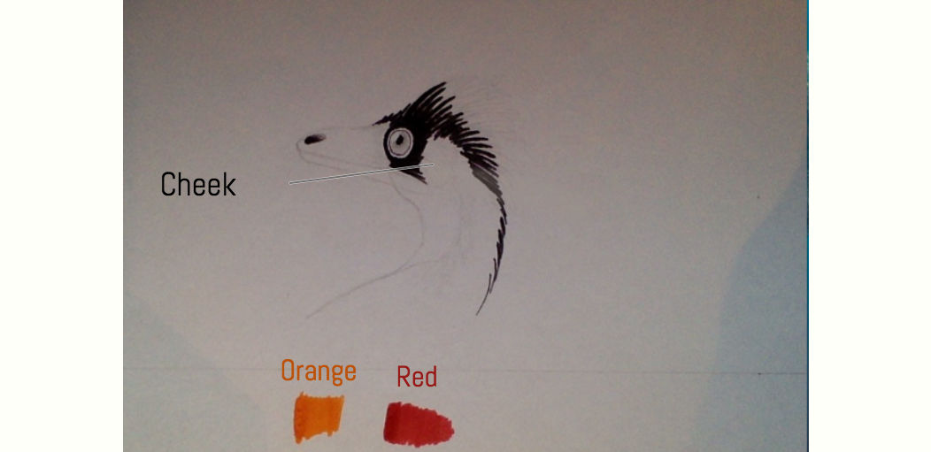 Which color? (Anchiornis W.I.P) by Ceratopsia on DeviantArt