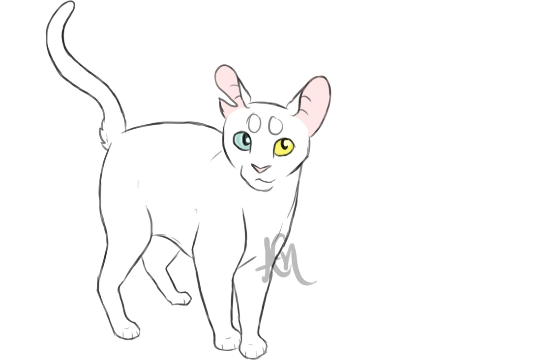 Parsley | Feline Breedable by AnimalCartoons on DeviantArt