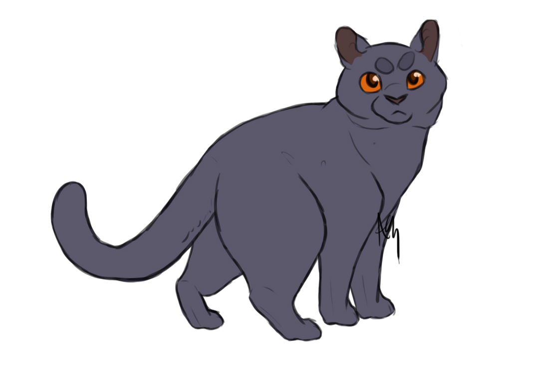 Mistyheart by AnimalCartoons on DeviantArt