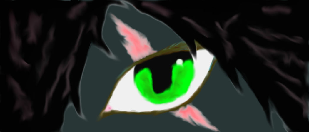 The Scarred Eye by BlackOpal24 on DeviantArt