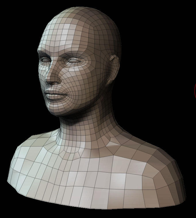 Head Basemesh by FredrikH on DeviantArt