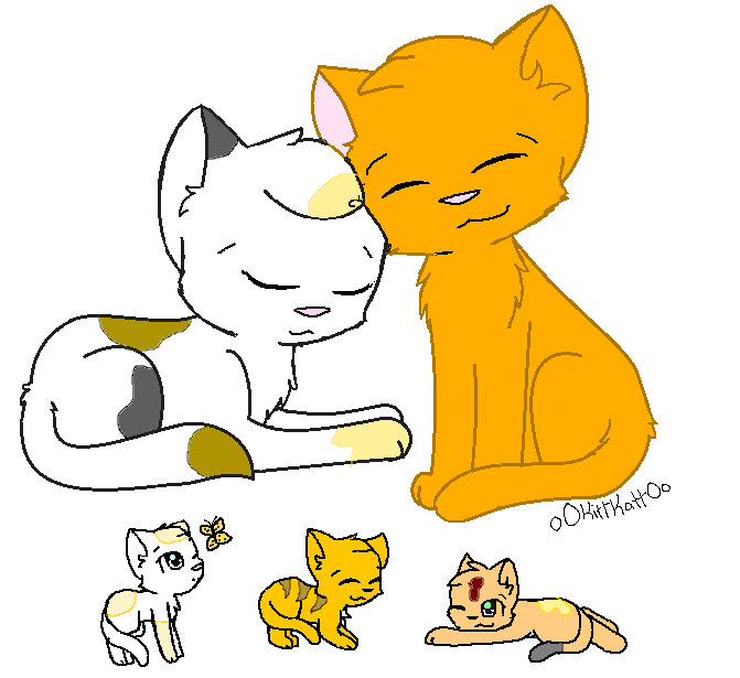 Warrior Cats Firestar And Spottedleaf Kits