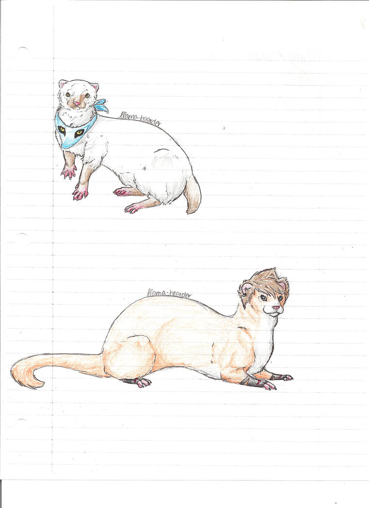 Gypsy and Murphy Ref by llama-hoarder on DeviantArt