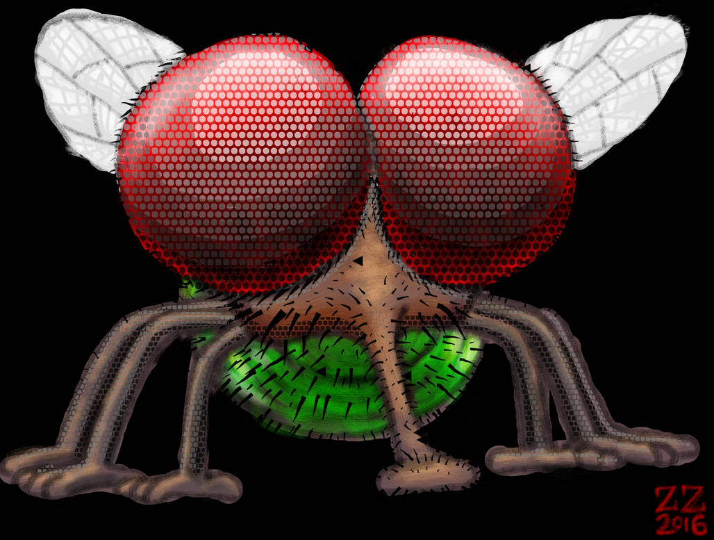 Draw a Bug by zenzmurfy on DeviantArt