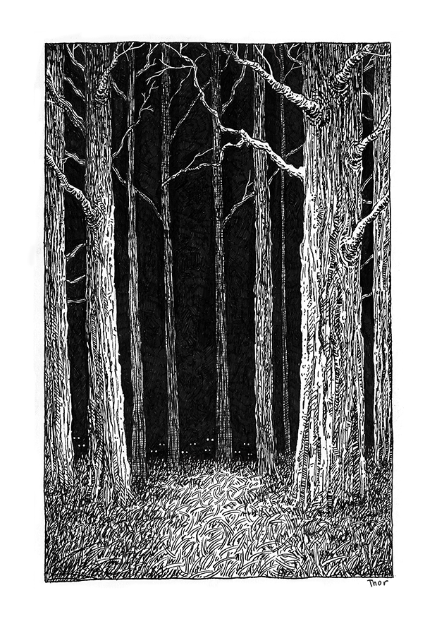 Dark Scary Forest Drawing