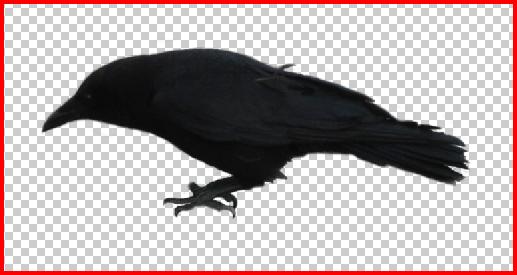 Crow .psd cut out 2 by EgoMod on DeviantArt