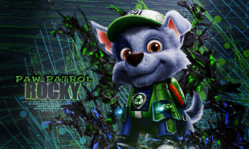 Rocky (PAW Patrol) by johnnygatthird on DeviantArt