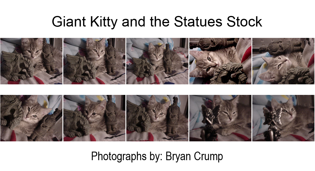 Giant kitty Stock 001 by crumpstock on DeviantArt