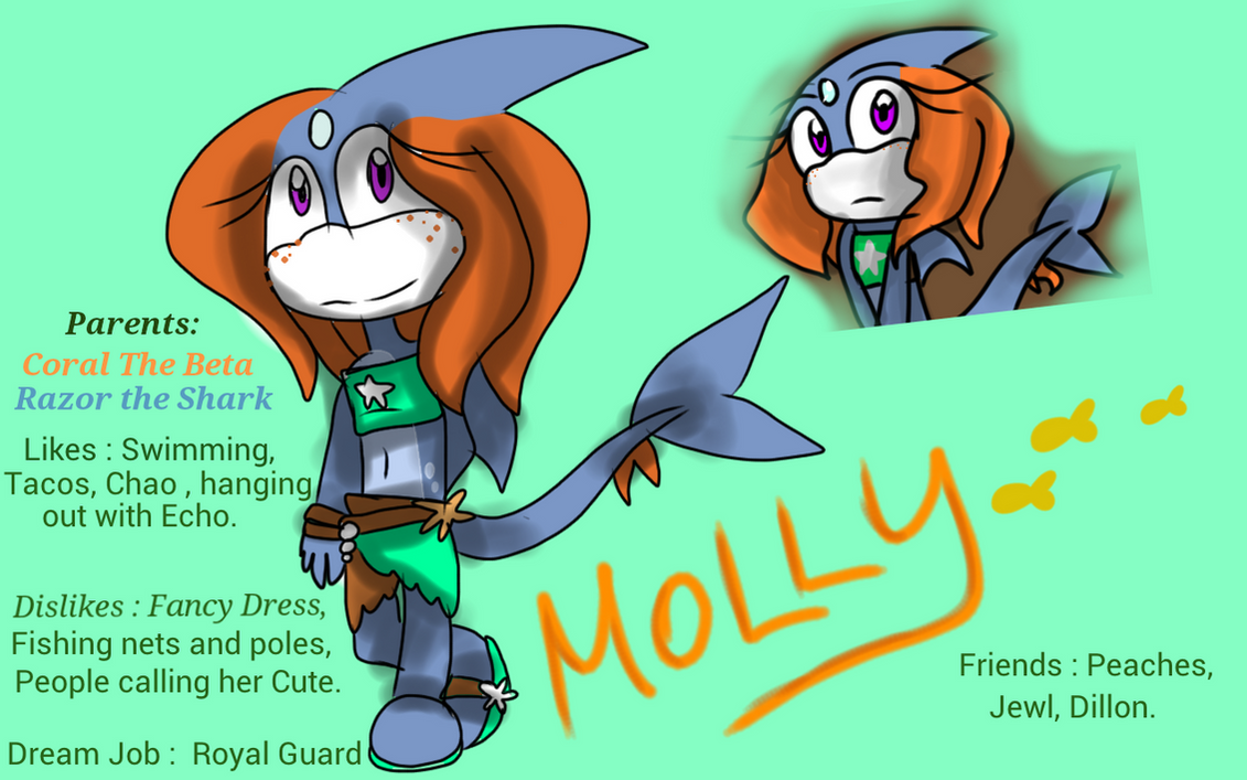 Molly (Sonic Next Gen) by DragonQueensLair on DeviantArt