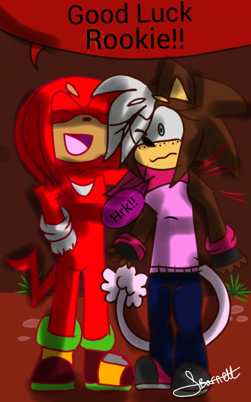 Good luck Rookie! :Sonic Forces: by DragonQueensLair on DeviantArt