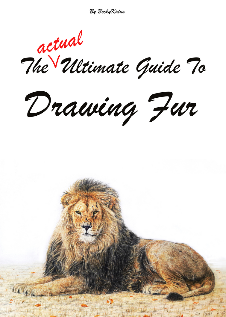 how to draw fur on a lion