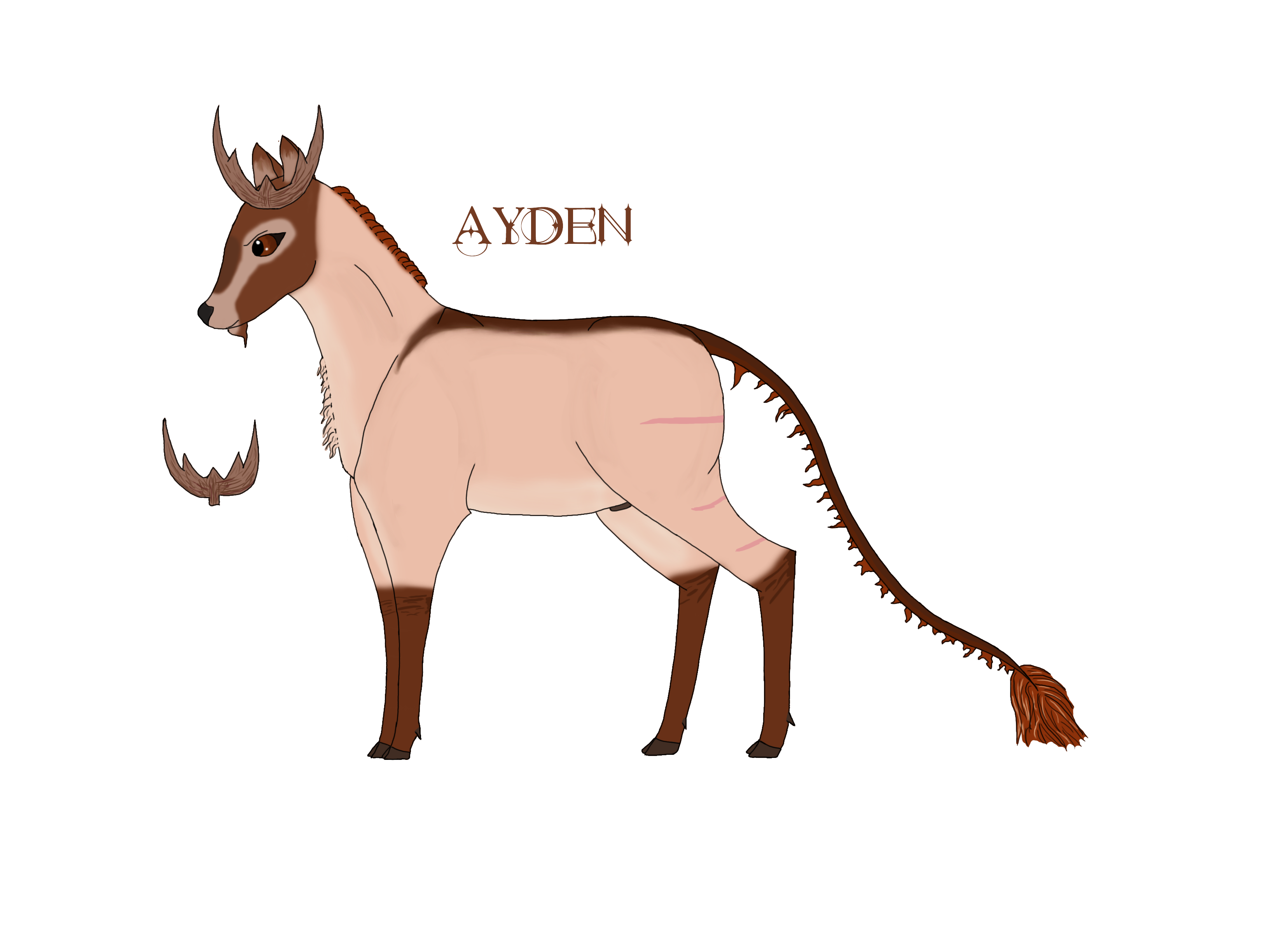 Ayden | Stag | Commander by Dream-Lark on DeviantArt