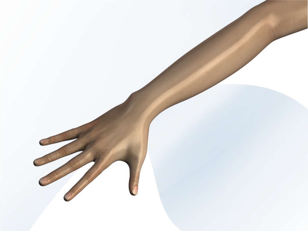 Arm animation by NexusSs on DeviantArt