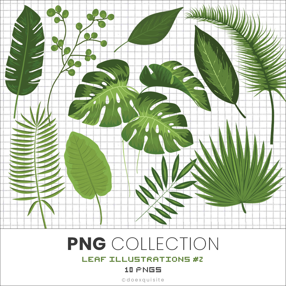 Leaf Illustrations #2 | PNG Pack by doexquisite on DeviantArt