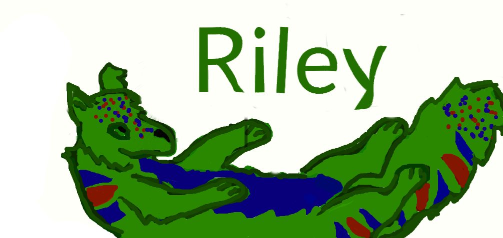 Riley OC by XxWarriorHollyleafxX on DeviantArt