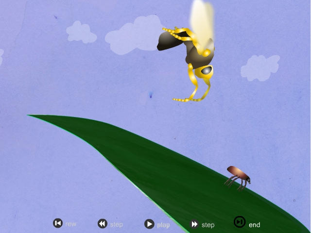 life cycle of the human botfly by priapism4art on DeviantArt