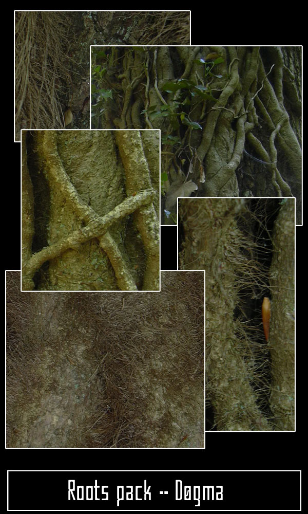 Roots pack by d0gma on DeviantArt