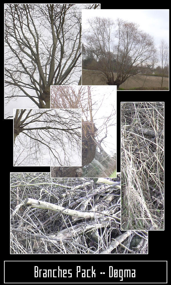 Branches Pack by d0gma on DeviantArt