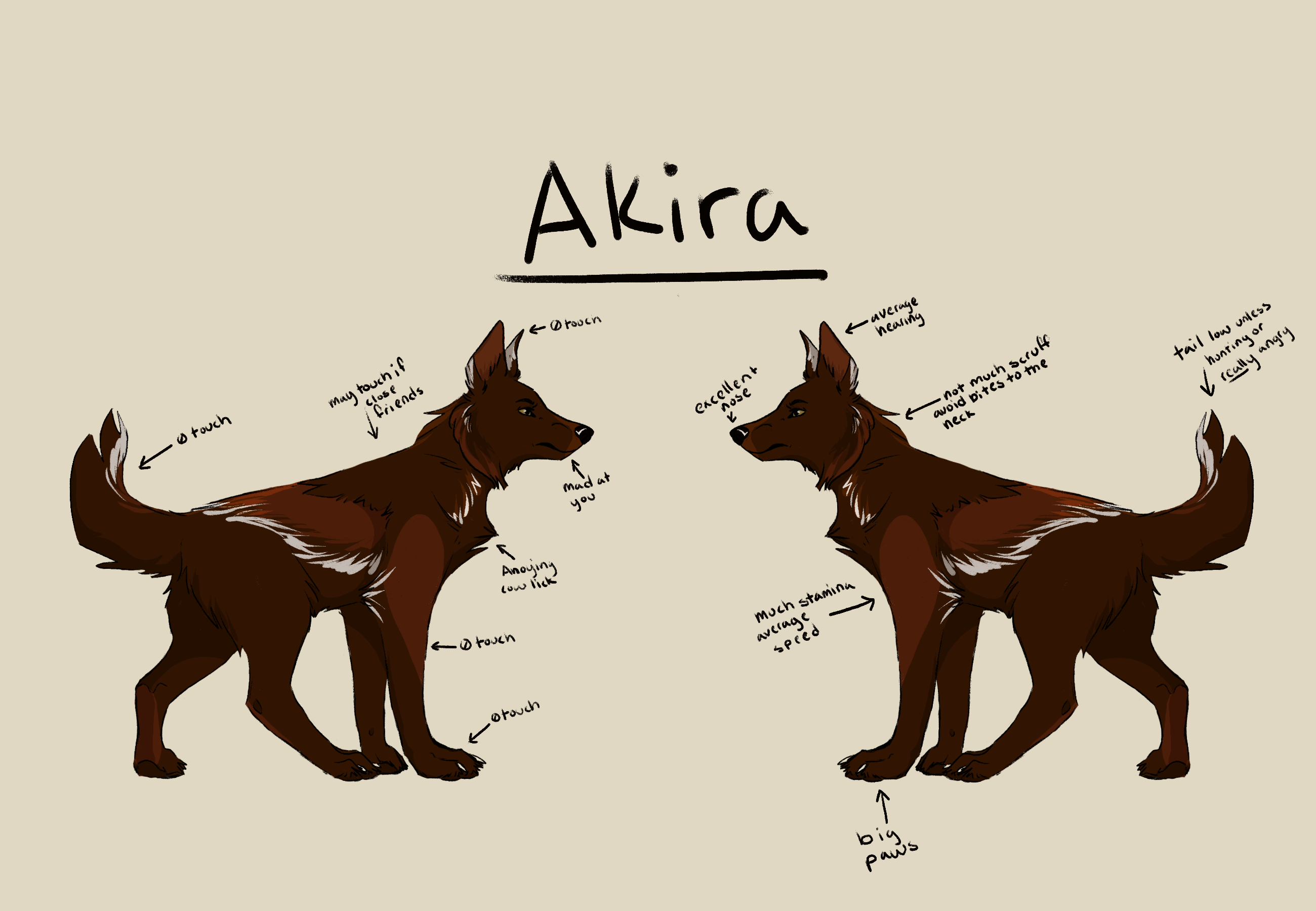 Akira Reference by FeminaVictoriae on DeviantArt