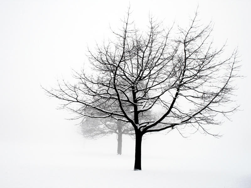 Bleak Midwinter Wallpapers By Rickhaigh On Deviantart