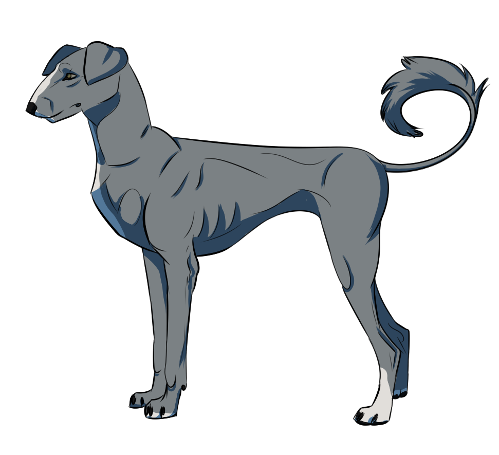 Roman Lap Dog by Canlupanon on DeviantArt