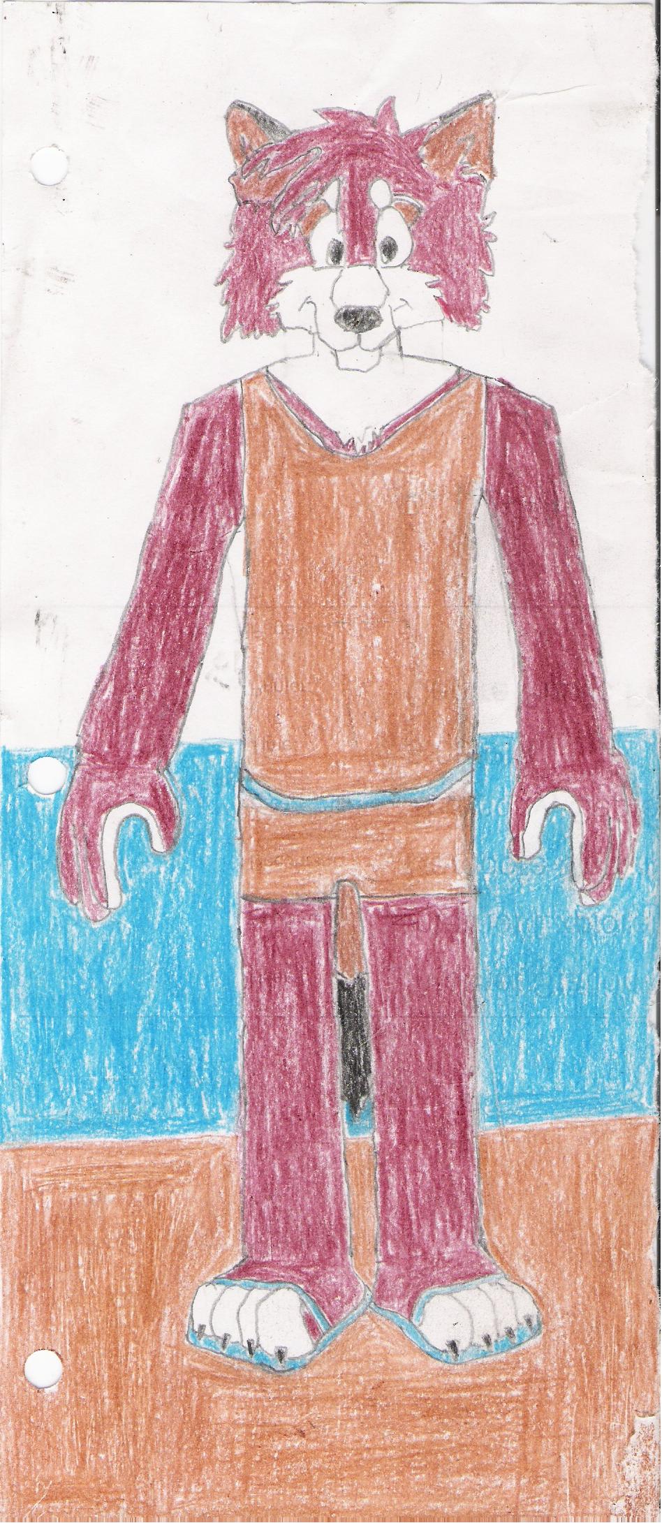 Brown Wolf at the beach by G-J-G on DeviantArt