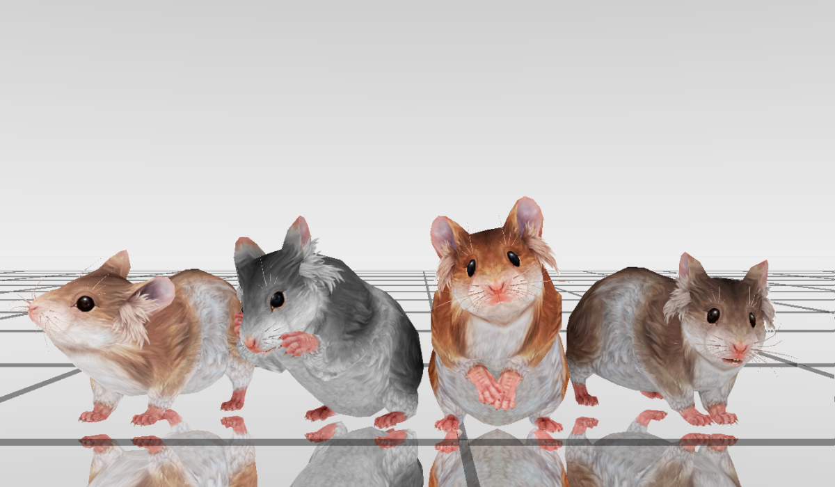 MMD Hamster DL by LuPa-Dls on DeviantArt