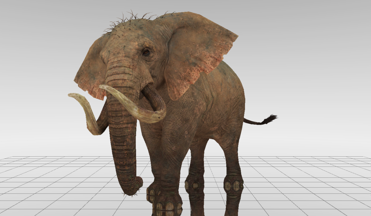 MMD Elephant DL by LuPa-Dls on DeviantArt