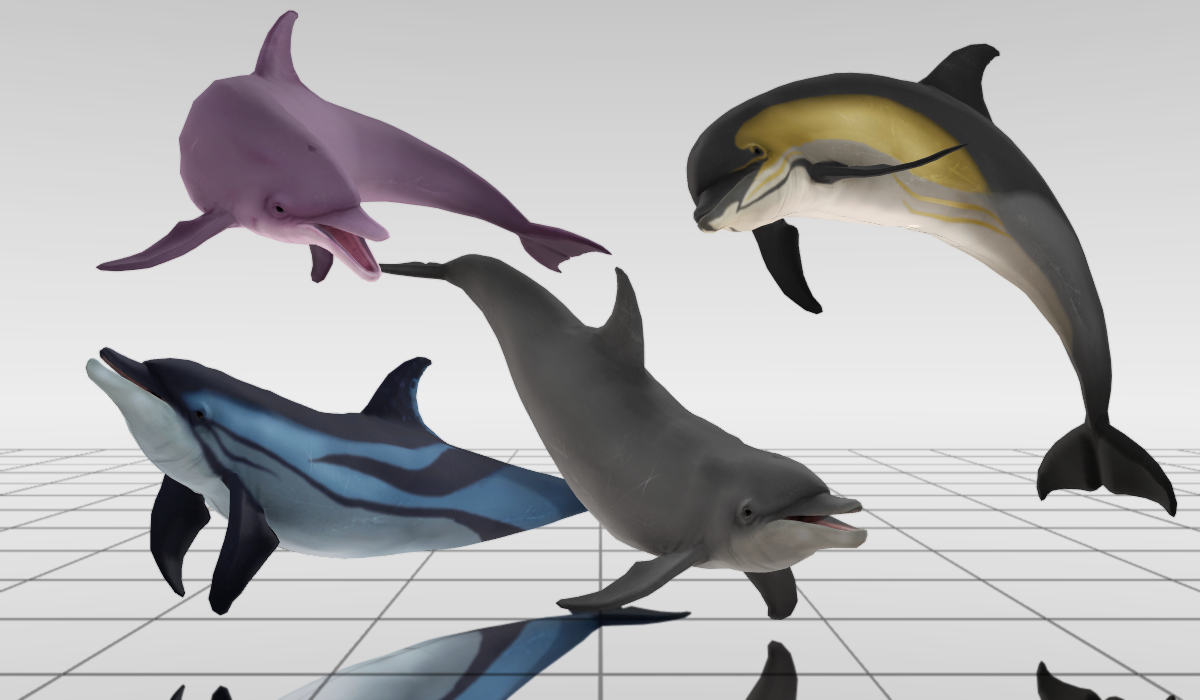 MMD Dolphin DL by LuPa-Dls on DeviantArt