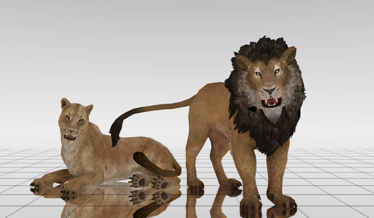 MMD Lion and Lioness DL by LuPa-Dls on DeviantArt