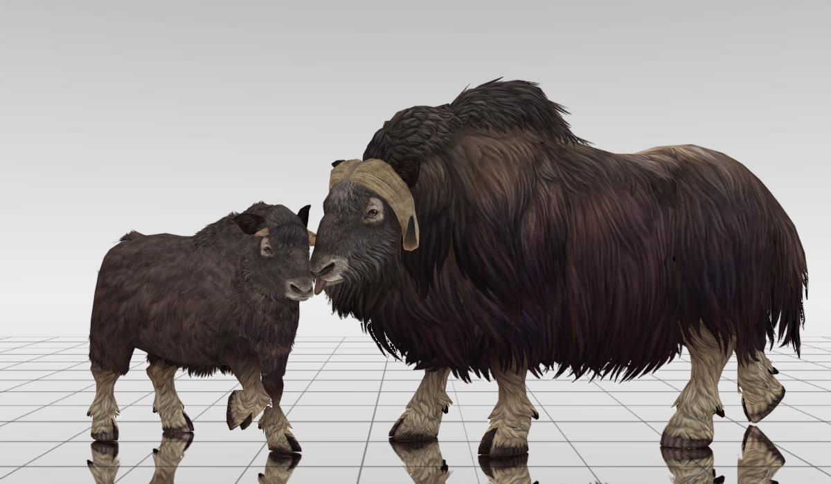 MMD Muskox DL by LuPa-Dls on DeviantArt