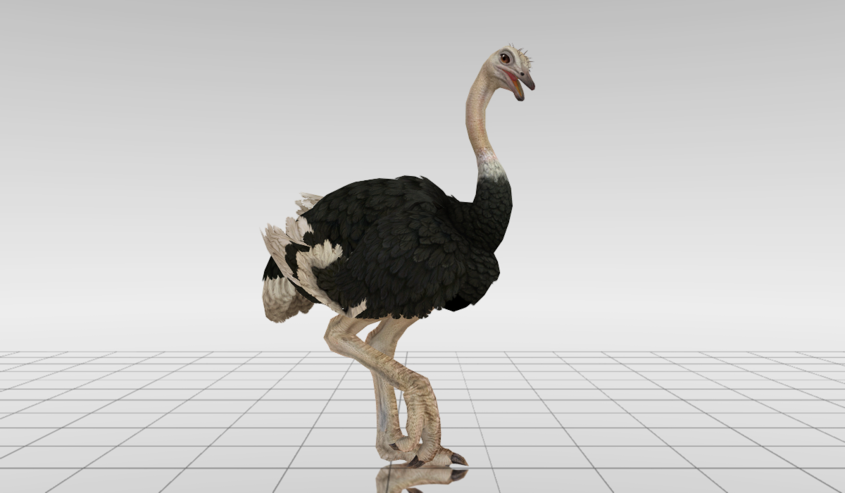 MMD Ostrich DL by LuPa-Dls on DeviantArt