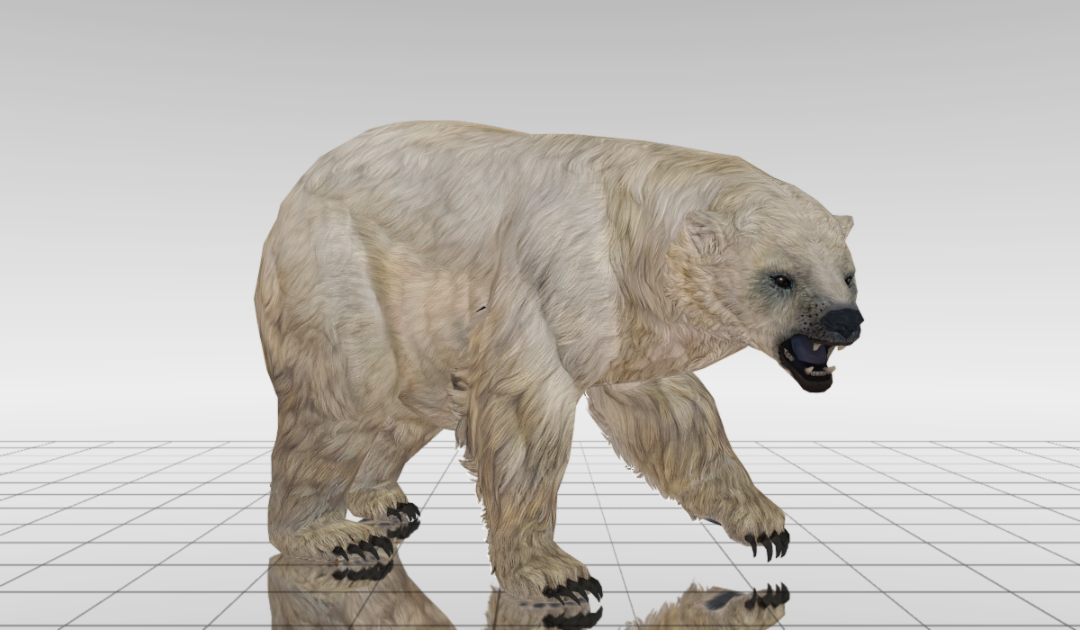 MMD Polar Bear DL by LuPa-Dls on DeviantArt