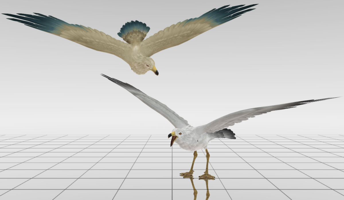 MMD Seagull DL by LuPa-Dls on DeviantArt