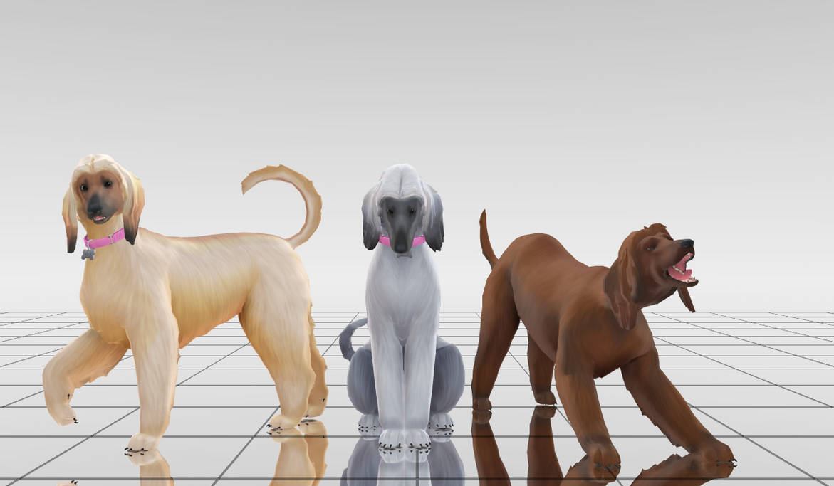 MMD Afghan Hound Dog DL by LuPa-Dls on DeviantArt