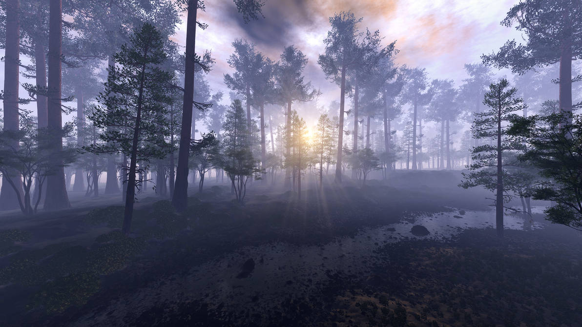 Forest stream by relhom on DeviantArt