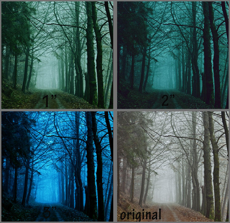 dark forest action by S0LBLANCO on DeviantArt