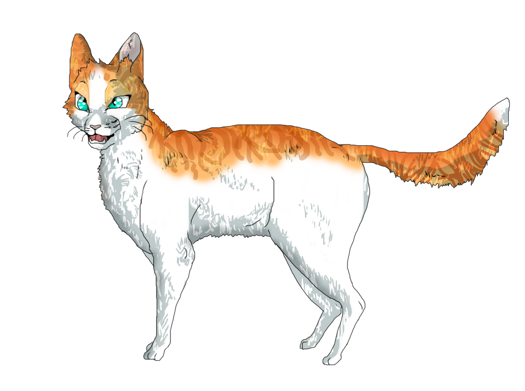 Winterpaw by Saakumi on DeviantArt