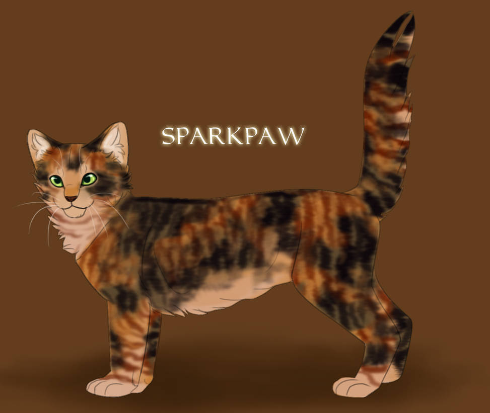 Sparkpaw by Saakumi on DeviantArt