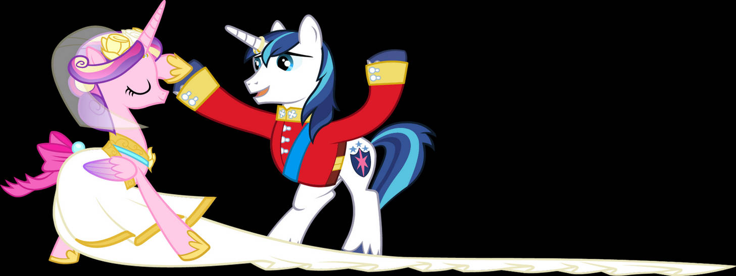 mlp shining armor vector