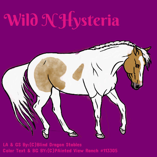 Wild N Hysteria PEP WB Mare by Littlekitty09 on DeviantArt