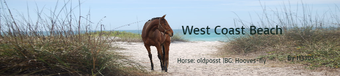 West Coast Beach Banner by Littlekitty09 on DeviantArt