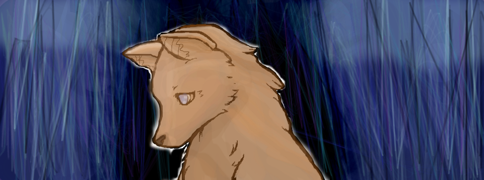 Sad Wolf by danicat123 on DeviantArt