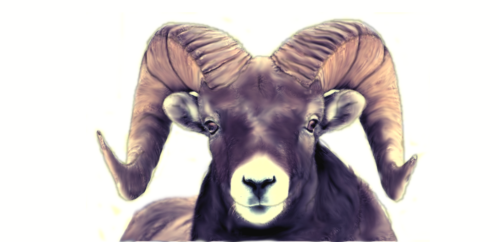 Ram by Tobukujira on DeviantArt