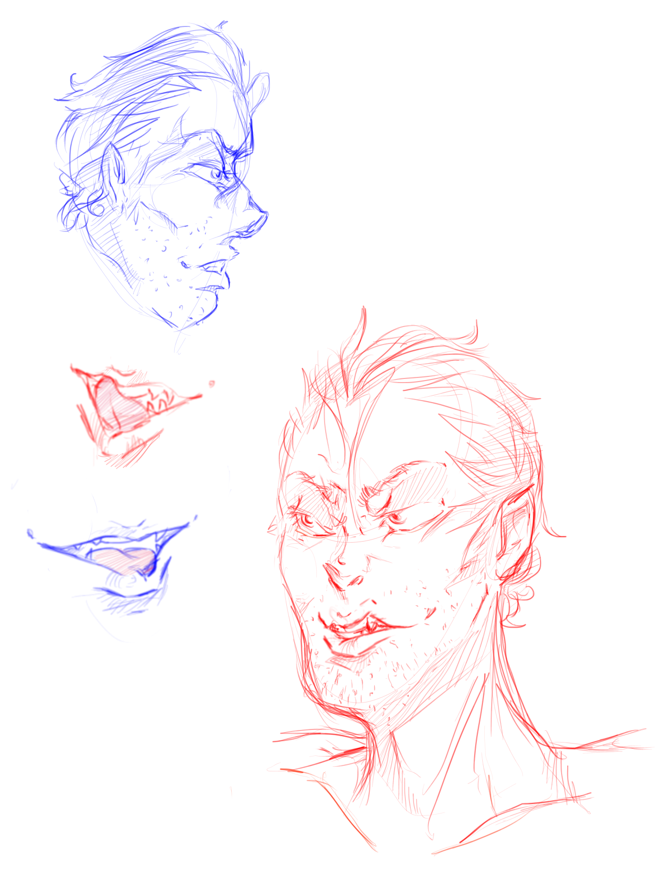 Realistic Big Bad Wolf by PsychopathicPussyCat on DeviantArt