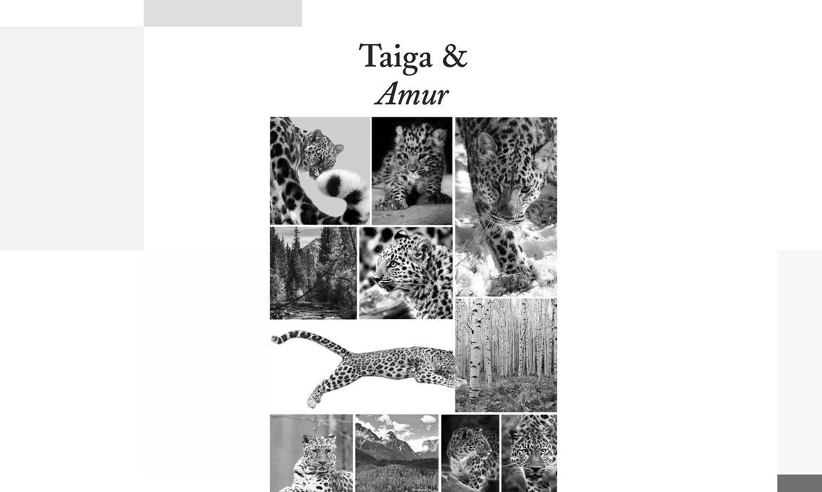 Newspaper Amur by Naomijov on DeviantArt