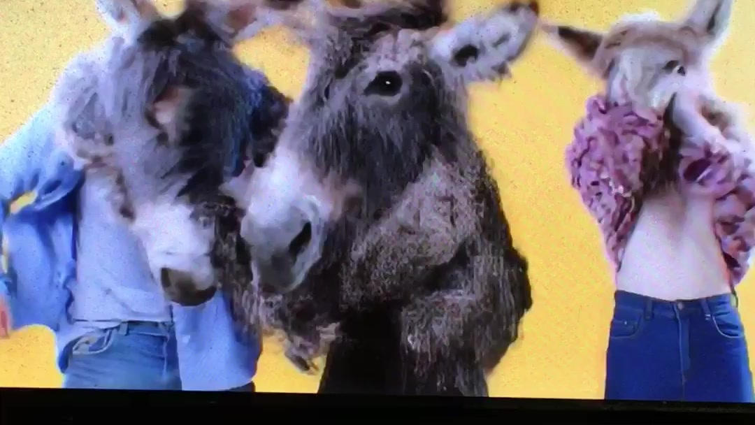 Wait, this costume- Its ALIVE! ALAAW HEE HAWWW! by barnum on DeviantArt